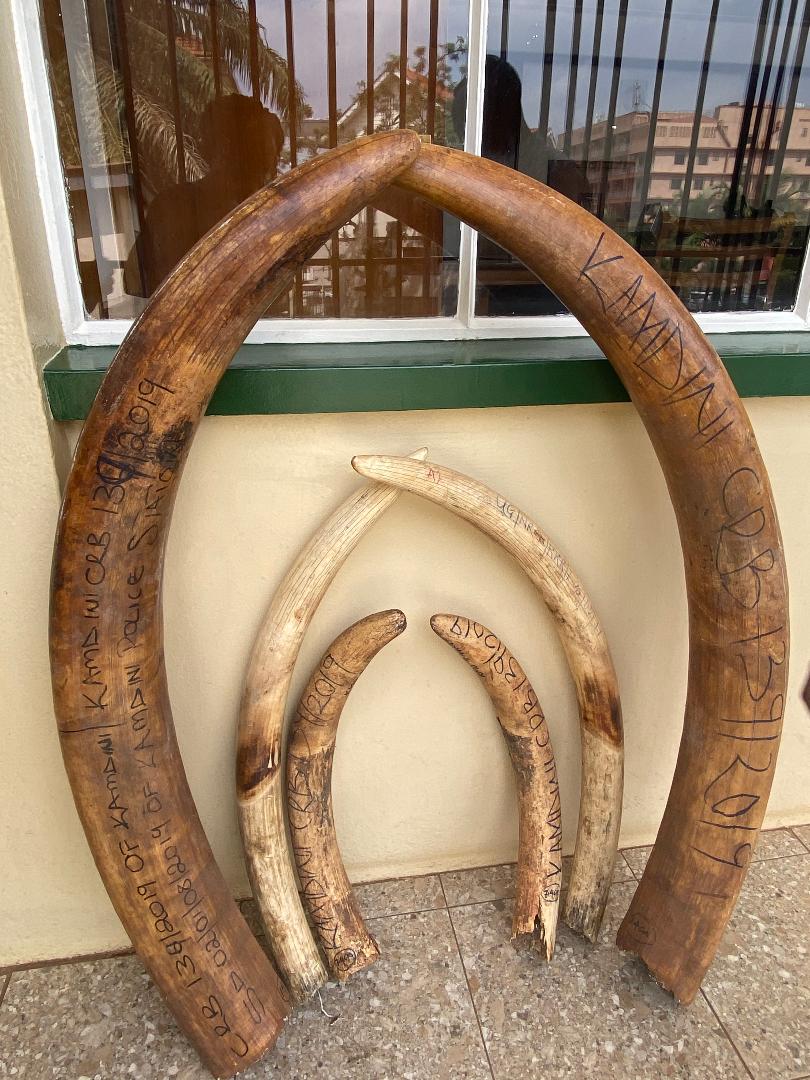 The killing must stop | Help African Animals